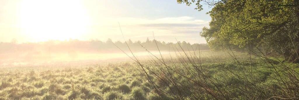 COUNCIL | myKnaphill