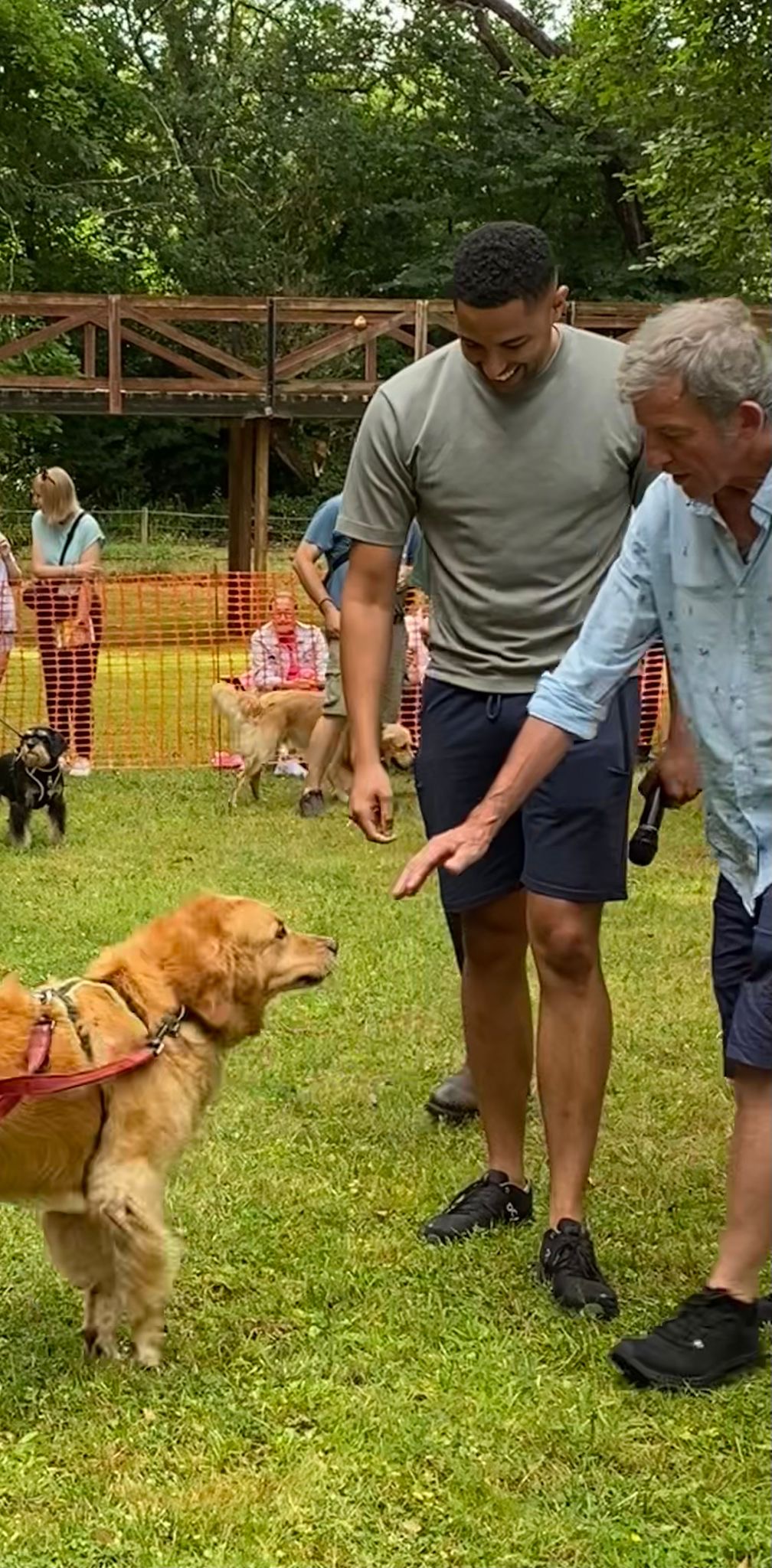 myKnaphill | From the Knaphill Residents Association